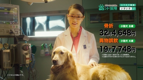 女優・奈緒がCMで一人4役 ペットを想う4人の女性をそれぞれの立場で演じる 4枚目 | ニュース画像 | Deview-デビュー