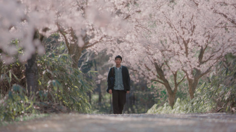 奈緒＆青木柚が「伊右衛門」新イメージキャラクターに就任、京都を舞台に癒しストーリーを届ける新CM 9枚目 | ニュース画像 | Deview-デビュー